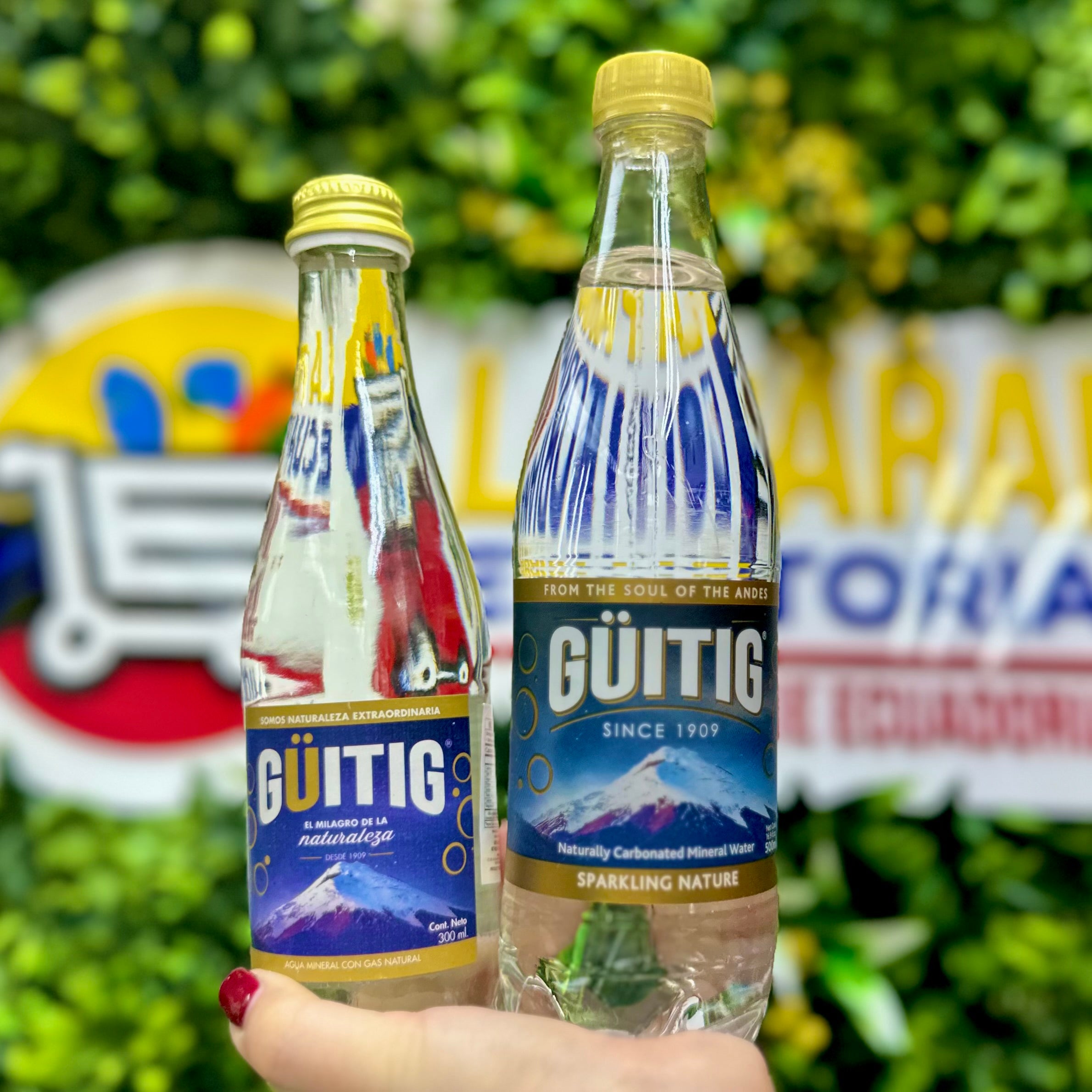 Guitig Pequeña | La Parada Ecuatoriana | Grocery Store