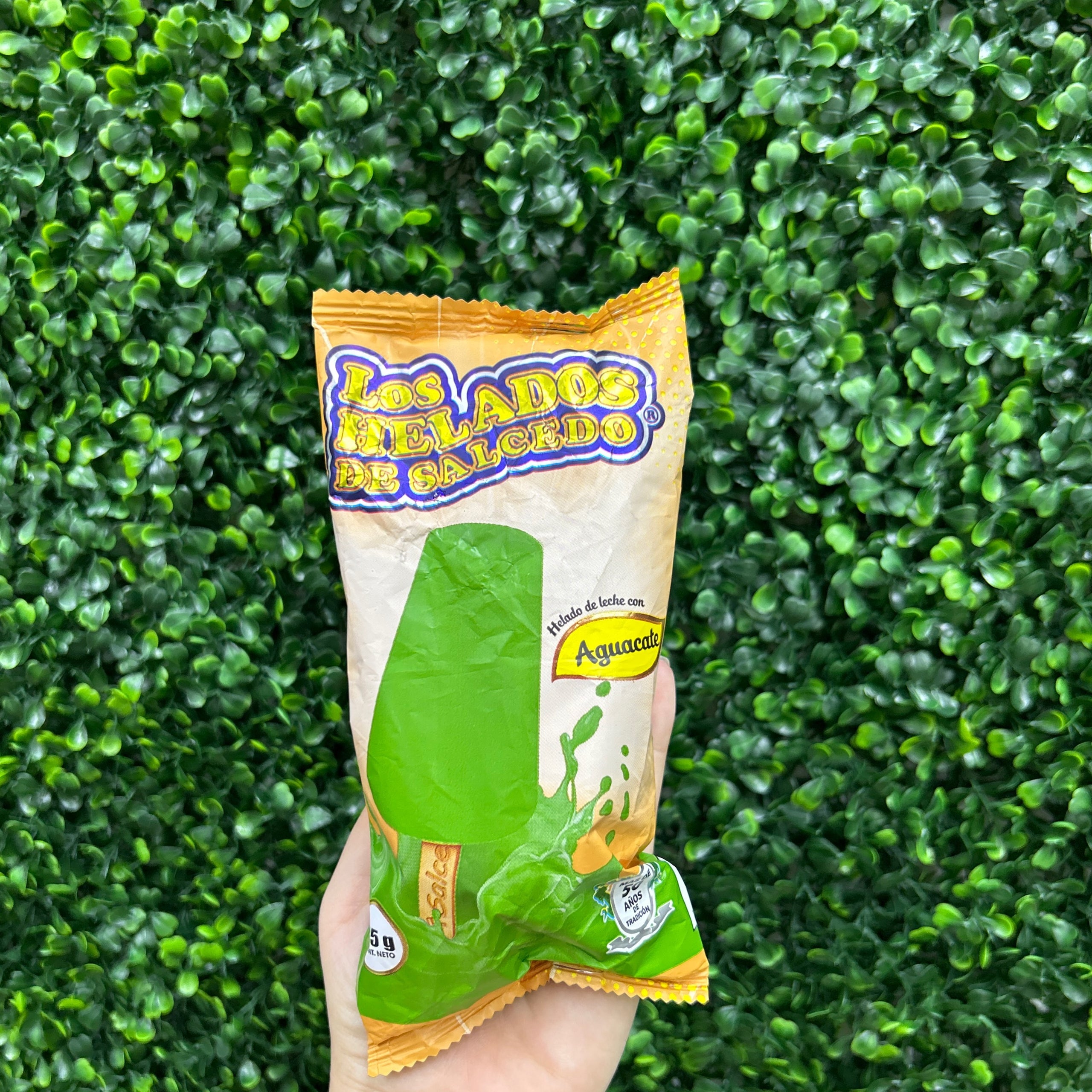 Helado Salcedo Aguacate La Parada Ecuatoriana