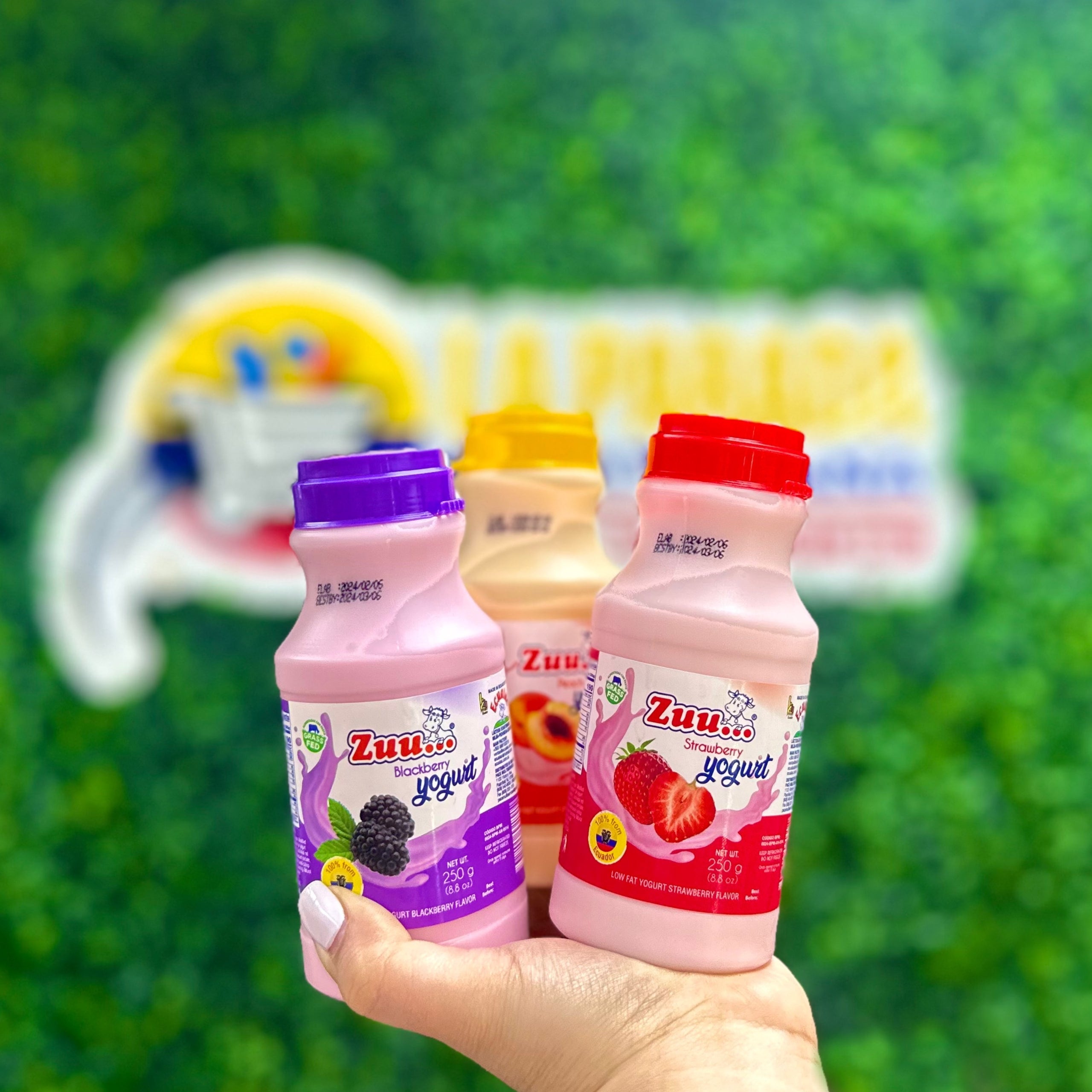 Zuu Yogurt | La Parada Ecuatoriana