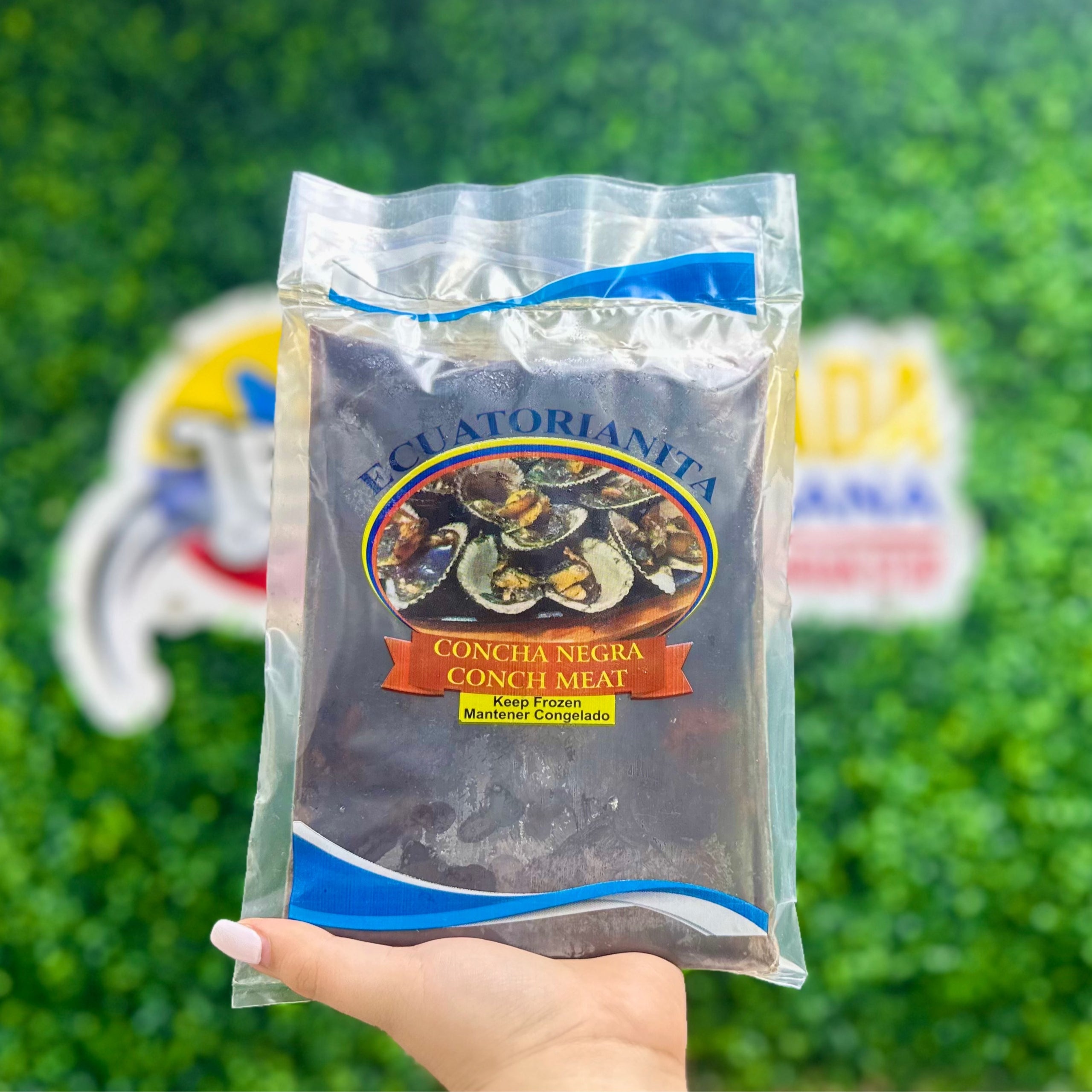 Conchas Negras - Mi Tierra | La Parada Ecuatoriana